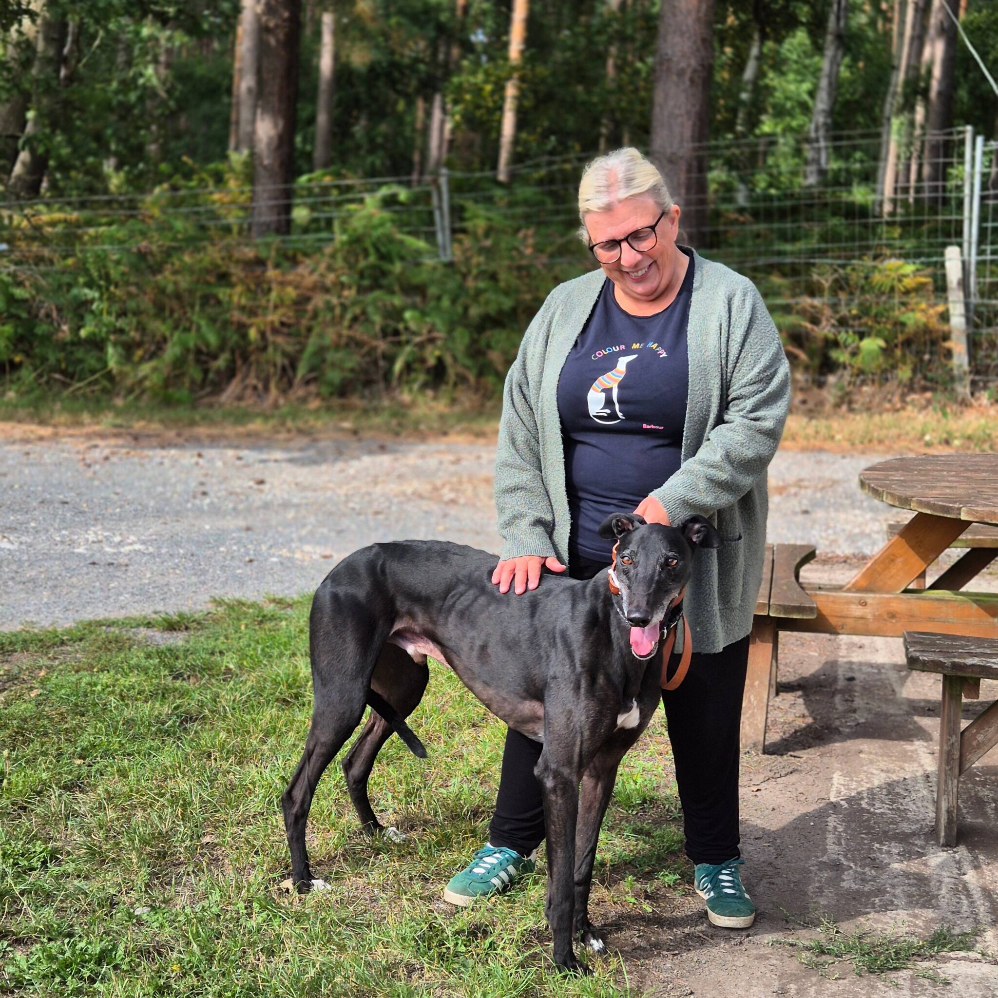 Silver (now Flynn) – Yarmouth Greyhound Homefinders
